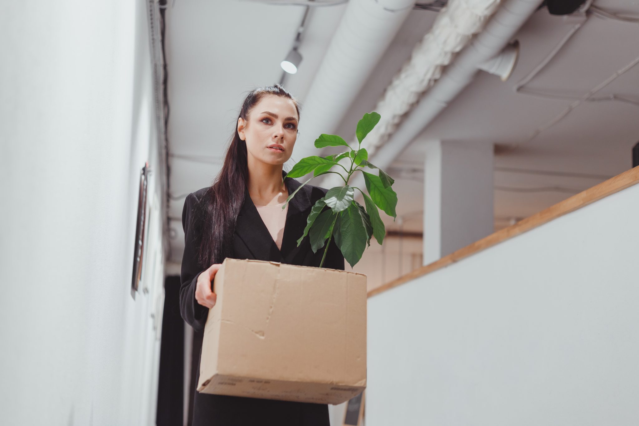 I Got Laid Off Without Warning. Now What? - PEG Staffing